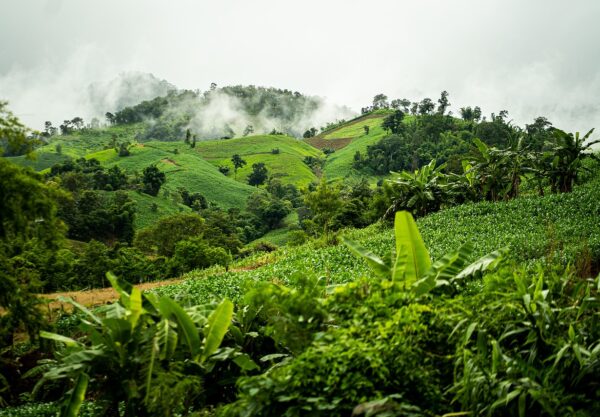 Borneo Adventure Awaits: The Ultimate Guide to Trekking in Borneo